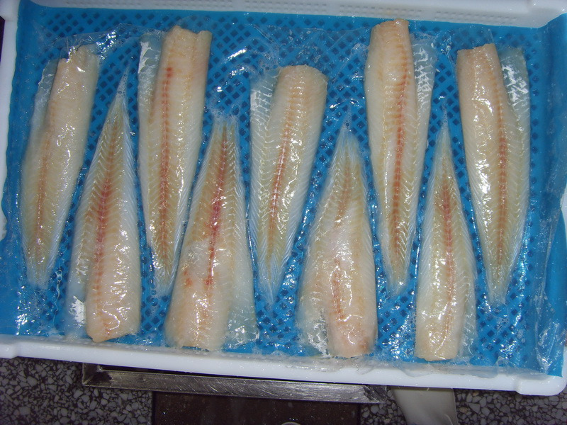 HEAD OFF GUTTED | Barrington Limited